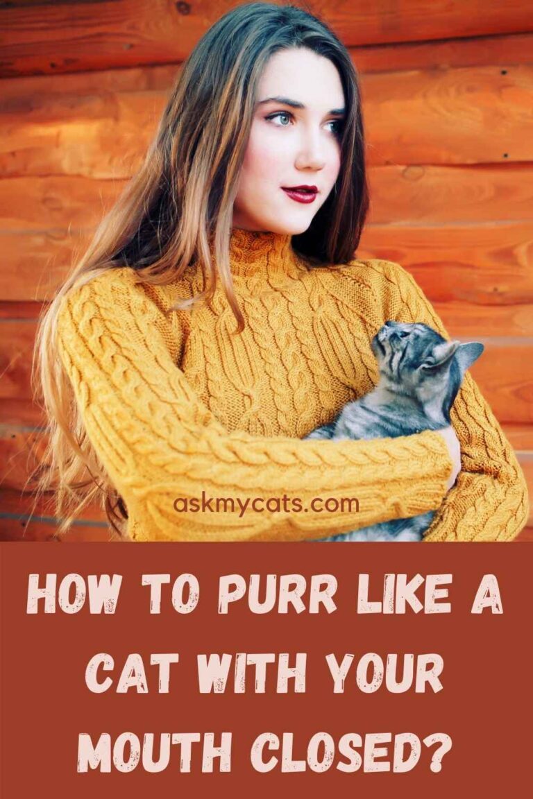 How To Purr Like A Cat? Can Humans Purr?