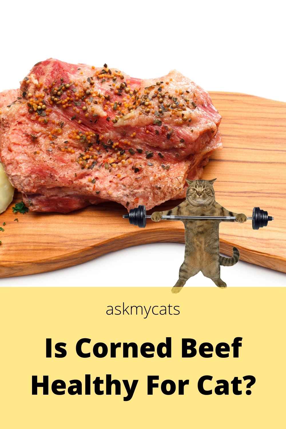 Can Cat Eat Corned Beef? Will It Harm My Cat?