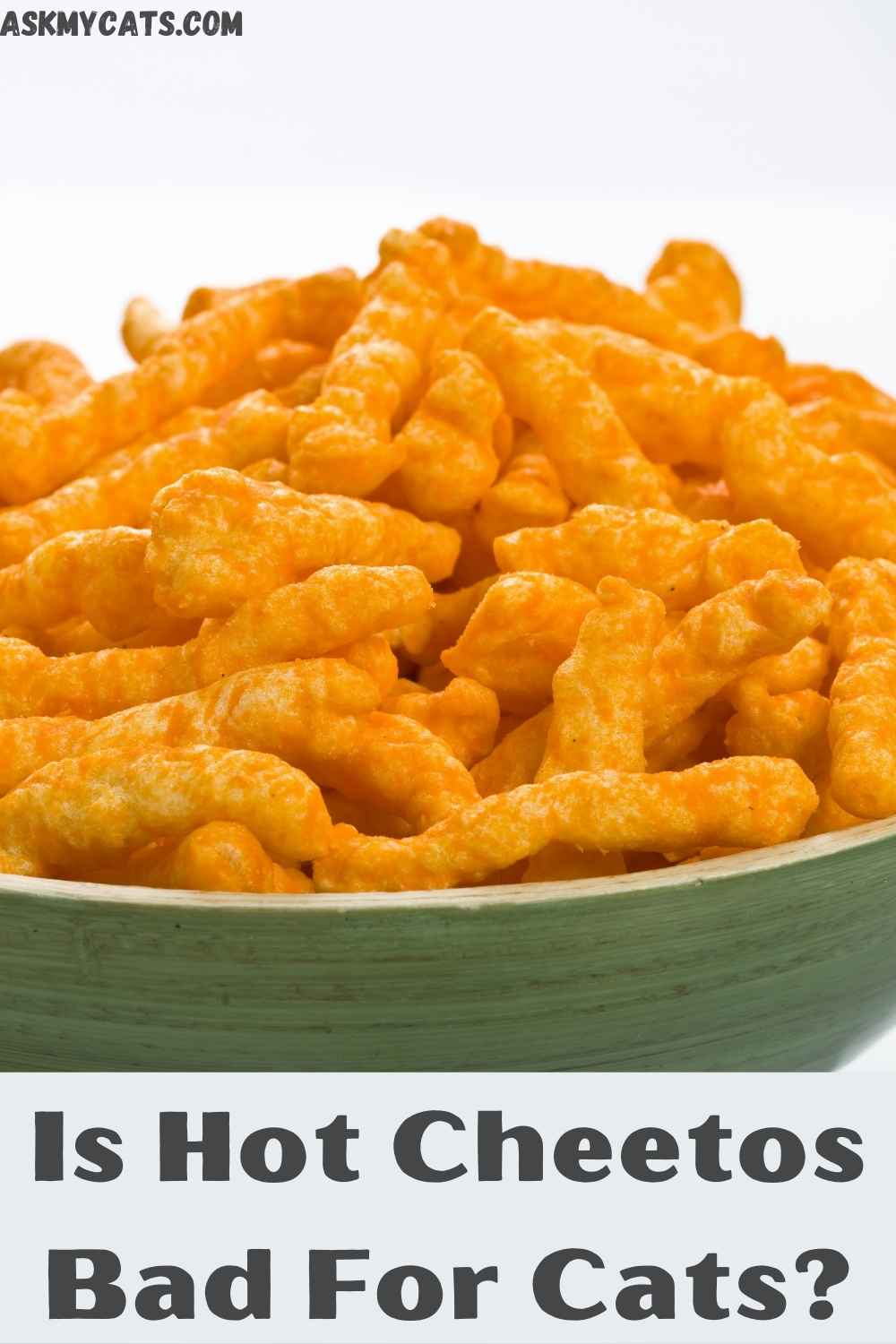 Can Cats Eat Hot Cheetos? Your Query, Our Findings