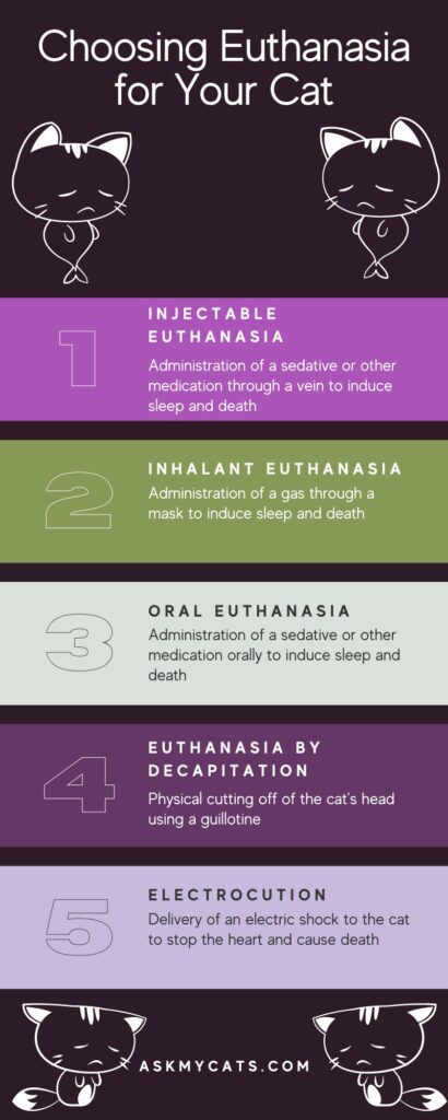 What Are The Different Methods Of Cat Euthanasia?