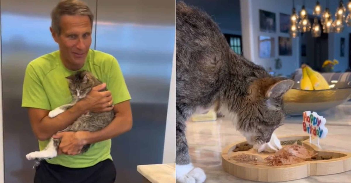 A Girl Throws a Birthday Party for Her 20-Year-Old Cat, Sparking Joy ...
