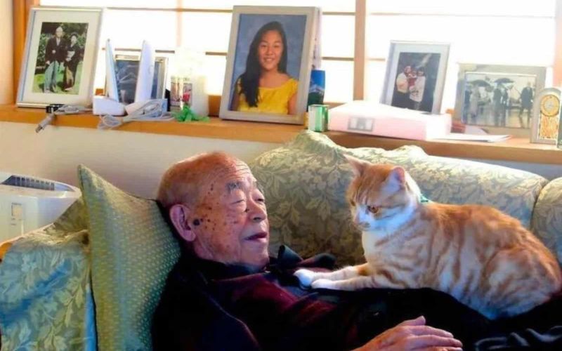 How Kinako the Cat Brought Joy Back to Grandpa Jiji's Life
